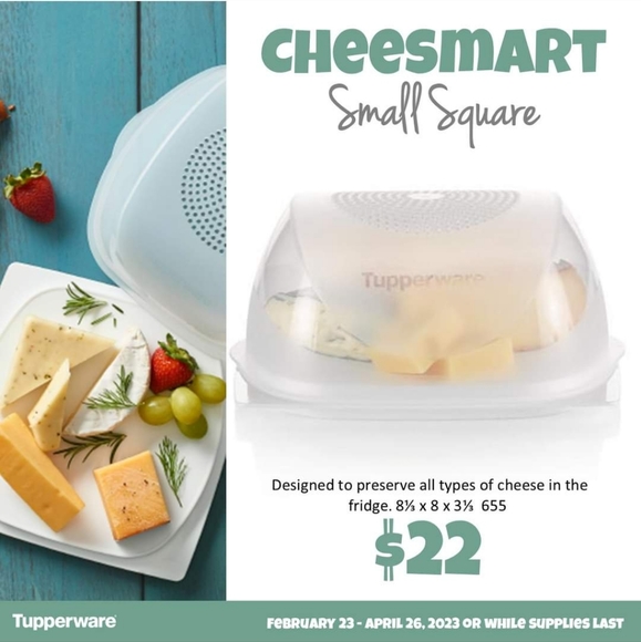Tupperware | Kitchen | Tupperware Small Cheesesmart | Poshmark